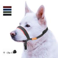 China Multifuction Nylon Dog Leash , Comfortable Dog Head Leash With Padded Leather for sale