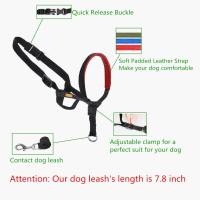 China Multifuction Nylon Dog Leash , Comfortable Dog Head Leash With Padded Leather for sale