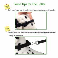 China Multifuction Nylon Dog Leash , Comfortable Dog Head Leash With Padded Leather for sale