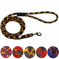 China Extremely Durable Nylon Rope Dog Leash Secure Design For Strongest Puller for sale