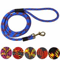 China Extremely Durable Nylon Rope Dog Leash Secure Design For Strongest Puller for sale