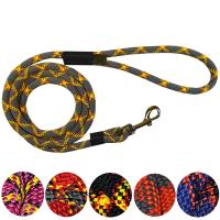 China Extremely Durable Nylon Rope Dog Leash Secure Design For Strongest Puller for sale