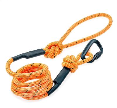 China 6 Feet Sturdy Nylon Dog Leash , Mountain Climbing Rope Leash With Carabiner for sale
