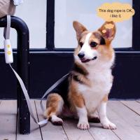 China Buckle Handle Adjustable Dog Leash , Elastic Dog Leash Easy to Secure Pup Anywhere for sale