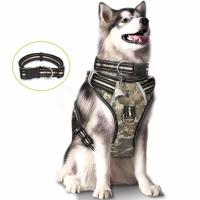 China Choke Free Nylon Dog Harness No Pul Easy Control Handle With Front / Back Leash Clips for sale