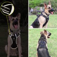 China Choke Free Nylon Dog Harness No Pul Easy Control Handle With Front / Back Leash Clips for sale