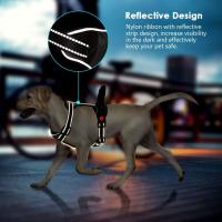 China Outdoor Pet Dog Harness Leash Adjustable Reflective Vest With D Ring Buckle for sale