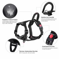 China Outdoor Pet Dog Harness Leash Adjustable Reflective Vest With D Ring Buckle for sale