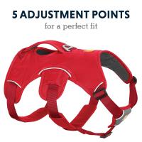 China Multi - Use Dog Harness Leash Hiking Trail Running Eco Friendly With Light Loop for sale