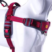 China Choke Free Dog Halter Harness Leash Set 5 Ft Double Handle Shock Absorbing Bungee for sale