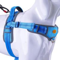 China Choke Free Dog Halter Harness Leash Set 5 Ft Double Handle Shock Absorbing Bungee for sale