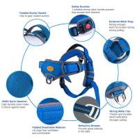 China Choke Free Dog Halter Harness Leash Set 5 Ft Double Handle Shock Absorbing Bungee for sale