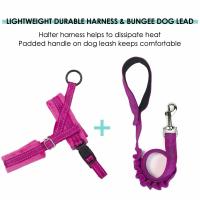 China Soft Choke Free Puppy Nylon Dog Harness Flannelette Lining Reflective Eco Friendly for sale