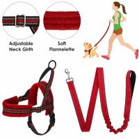 China Soft Choke Free Puppy Nylon Dog Harness Flannelette Lining Reflective Eco Friendly for sale