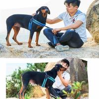 China Ultra Soft Breathable Padded Pet Harness , No Pull 3M Reflective Dog Vest Harness for sale