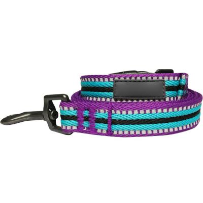 China Multi Colored Nylon Dog Training Leash Stripe Collection 3M Reflective Safe Comfy for sale