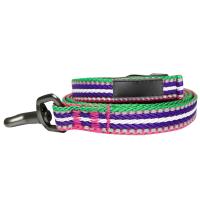 China Multi Colored Nylon Dog Training Leash Stripe Collection 3M Reflective Safe Comfy for sale