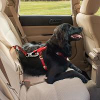 China 10 Inch Adjustable Dog Safety Belt Leash Direct To Seatbelt Tether Red Color for sale