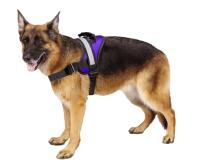 China Durable K9 Dog Vest Harness Soft Reflective No Pull Vest With Rubber Handle for sale