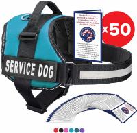 China Multicolored Comfortable Pet Harness Mesh Padding Working K9 Eco - Friendly for sale