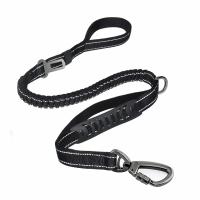 China Shock Absorbing Bungee Nylon Dog Leash 2 Padded Traffic Handle Training Pet for sale