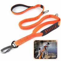 China Shock Absorbing Bungee Nylon Dog Leash 2 Padded Traffic Handle Training Pet for sale