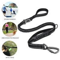 China Shock Absorbing Bungee Nylon Dog Leash 2 Padded Traffic Handle Training Pet for sale