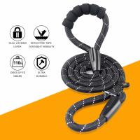 China Shock Absorbing Bungee Nylon Dog Leash 2 Padded Traffic Handle Training Pet for sale