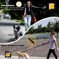 China Shock Absorbing Bungee Nylon Dog Leash 2 Padded Traffic Handle Training Pet for sale