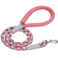 China Multicolour Nylon Rope Dog Leash Reflective Dog Leash For Large Dogs for sale