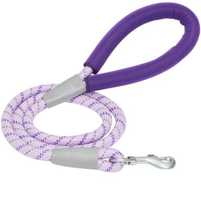 China Mountain Climbing Braided Nylon Rope Dog Leash , Dog Training Leash With Lock Catch for sale