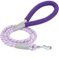 China 100% Polyester Material Nylon Rope Dog Leash Comfortable Multiple Color Option for sale