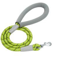 China 100% Polyester Material Nylon Rope Dog Leash Comfortable Multiple Color Option for sale
