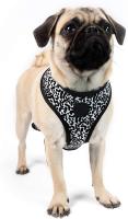 China Multiple Prints / Sizes Reflective Dog Leash , Comfortable Dog Walking Harness for sale