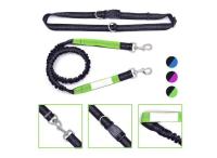 China Retractable Hands Free Dog Training Leash Dual Handle Bungee Waist Harness Nylon for sale