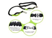 China Retractable Hands Free Dog Training Leash Dual Handle Bungee Waist Harness Nylon for sale