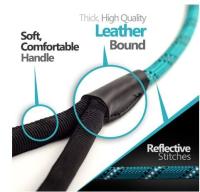 China Anti Pull Shock Absorbing Nylon Dog Leash No Slip Reflective Outside Lightweight for sale