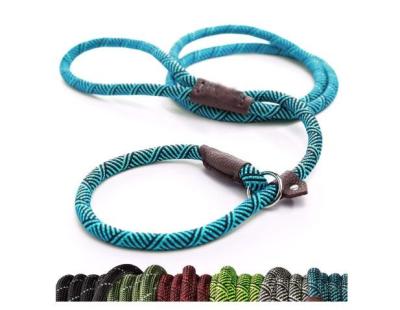China Heavy Duty Nylon Dog Leash Reflective Comfortable Padded Handle Adjustable Loop for sale