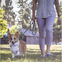 China Heavy Duty Nylon Dog Leash Reflective Comfortable Padded Handle Adjustable Loop for sale