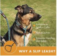 China Heavy Duty Nylon Dog Leash Reflective Comfortable Padded Handle Adjustable Loop for sale