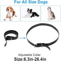China PU Plastic Strap Band Buckle 	Waterproof Dog Collars 3/4