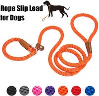 China Slip Braided Rope Heavy Duty Dog Leash No Pull Training Lead Nylon Material for sale