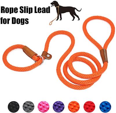 China Slip Braided Rope Heavy Duty Dog Leash No Pull Training Lead Nylon Material for sale