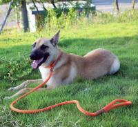 China Slip Braided Rope Heavy Duty Dog Leash No Pull Training Lead Nylon Material for sale