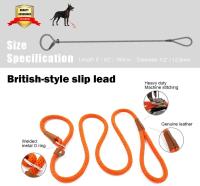 China Slip Braided Rope Heavy Duty Dog Leash No Pull Training Lead Nylon Material for sale