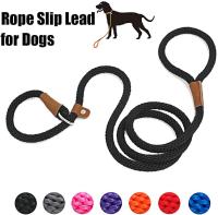 China Slip Braided Rope Heavy Duty Dog Leash No Pull Training Lead Nylon Material for sale