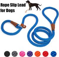 China No Pull Dog Training Leash Strong Heavy Duty Braided Rope For Medium Large Dogs for sale