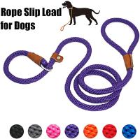 China No Pull Dog Training Leash Strong Heavy Duty Braided Rope For Medium Large Dogs for sale