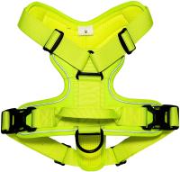 China Outdoor Air Mesh Dual Attachment Nylon Dog Harness for sale
