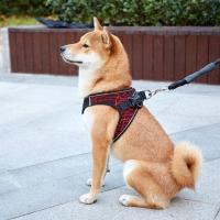 China Comfort Puppy Lightweight Padded No Pull Pet Vest for sale